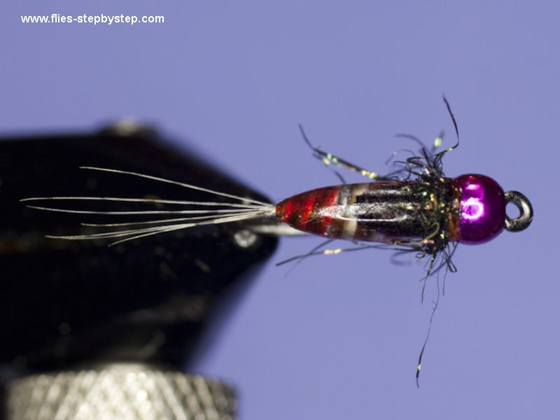Quill Nymph Fly Pattern How To Tie Fly Fly Tying Step By Step Patterns And Tutorials